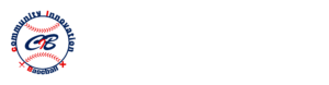 C-I Baseball -野球の未来を現場から変えていく-